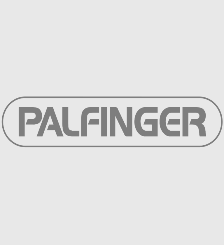 palfinger_logo - Mister Stapler Staplerservice Chemnitz Zwickau